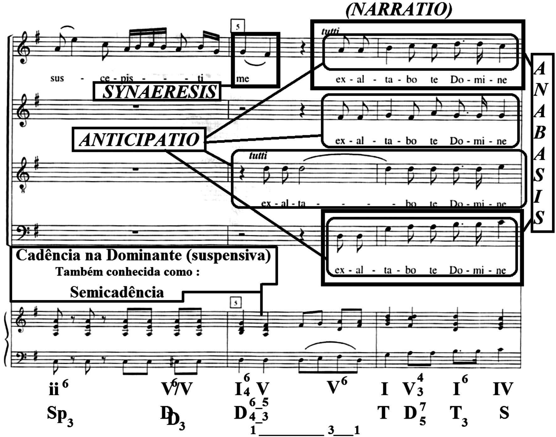 Exemplo 2: Synaeresis, Anabasis e Anticipatio comp. 4-6 -Catalogação e ...